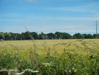 Corpus of Scottish medieval parish churches: Dunblane and Dunkeld dioceses